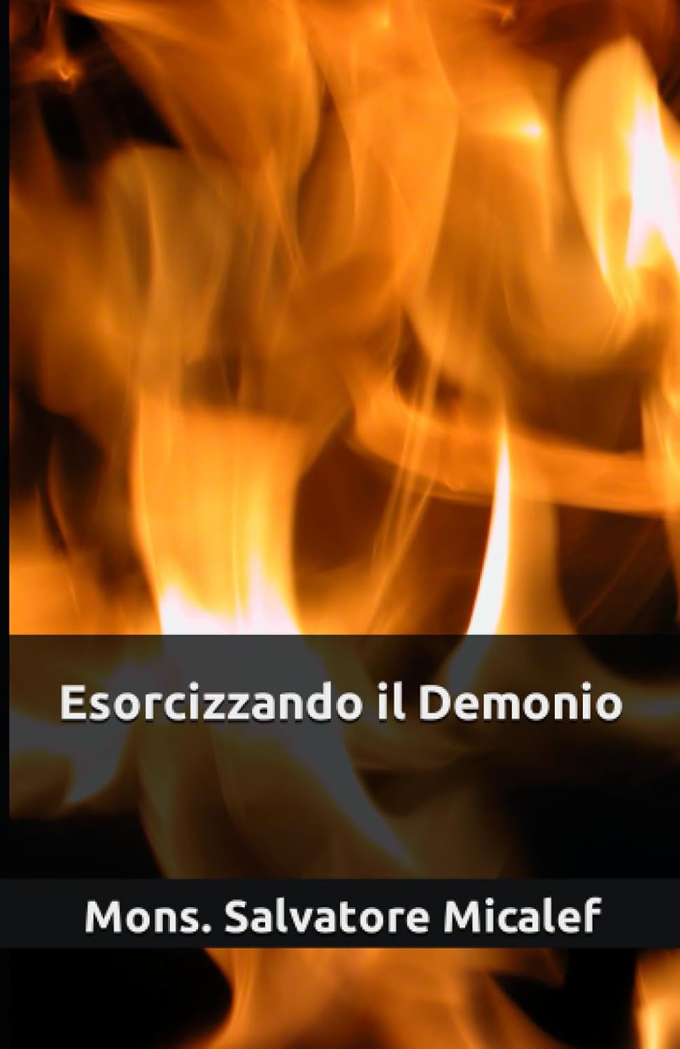 Pubblicazioni – Vescovo Salvatore Micalef